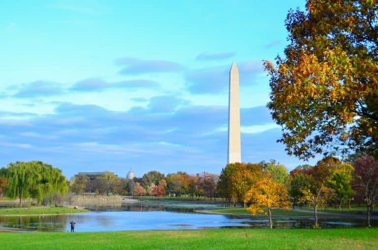 Best Fall 2020 Activities Near Washington, DC | Keener Managment